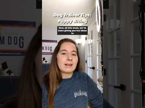 Frustrated with puppy biting? #newpuppy #puppybiting