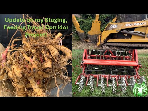 2025 HS360 Update on Staging bedding travel Corrirdor and food plots project.