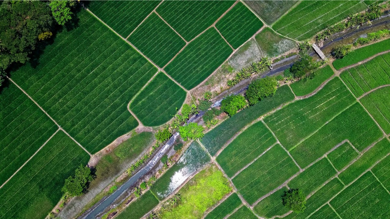 🎙️ Episode 7: Top Aussie Property Hotspots! Where to Invest for High Growth & Returns 🏙️💰 🚀