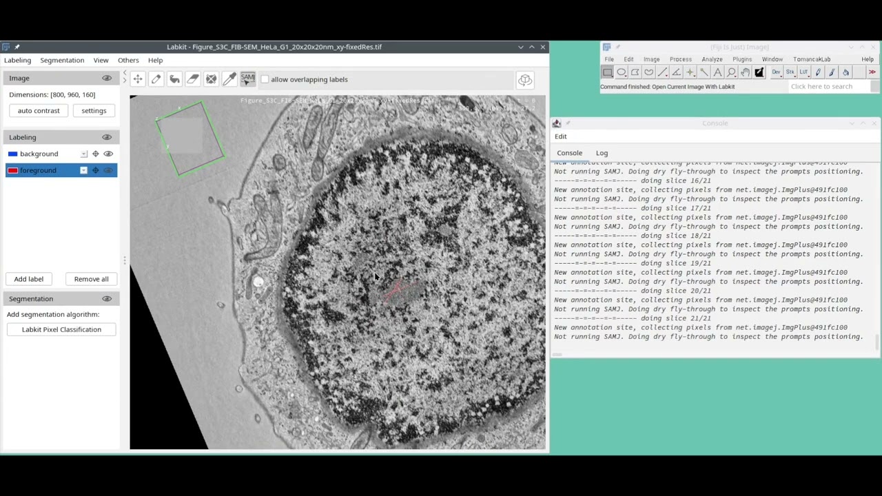 SAMJ: Integration with Labkit
