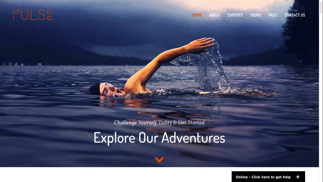 Pulse WordPress Theme - Navigation Options