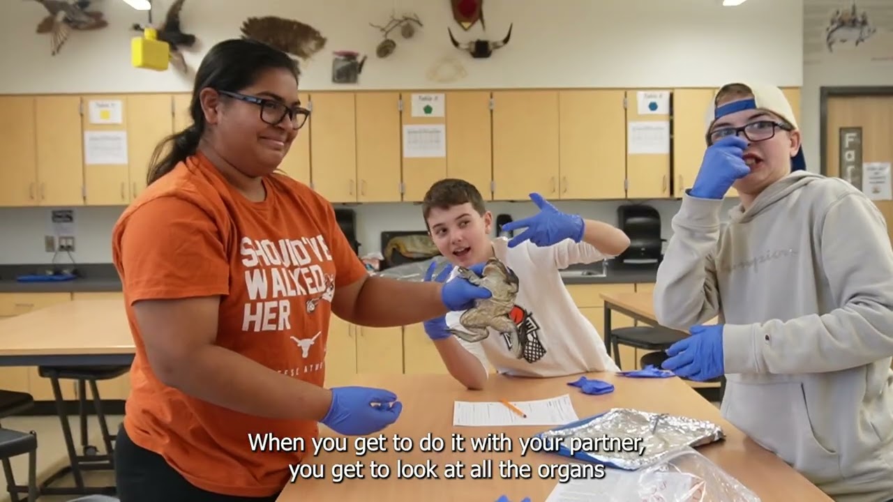 7th Grade Frog Dissection - Mr. Farley's Class
