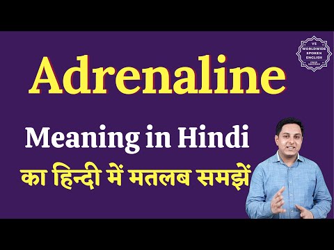 Adrenaline meaning in Hindi | Adrenaline ka matlab kya hota hai | English to hindi