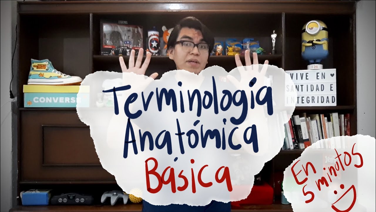 Basic Anatomical Terminology in 5 Minutes! | SIMPLE EXPLANATION