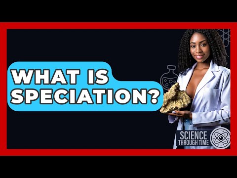 What Is Speciation? - Science Through Time