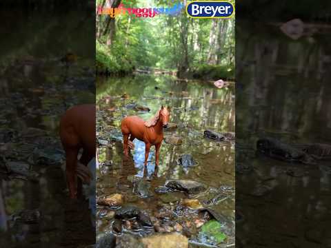 Hiking With My Breyer Horse 🐴 Paddock Pals Hazel | I bought at FiveBelow