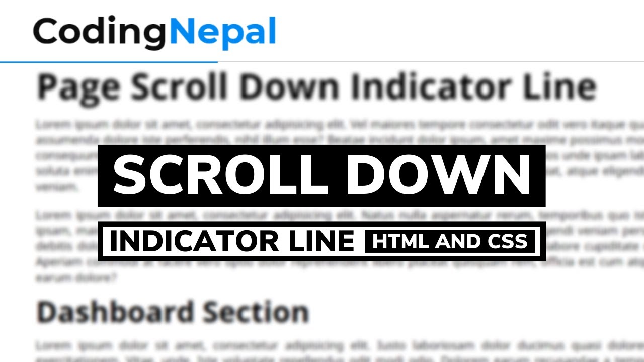 Page Scroll Down Indicator Line in HTML CSS & Javascript | CodingNepal