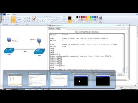 CCNP Switch (300 - 115) version 2.0: Native VLAN