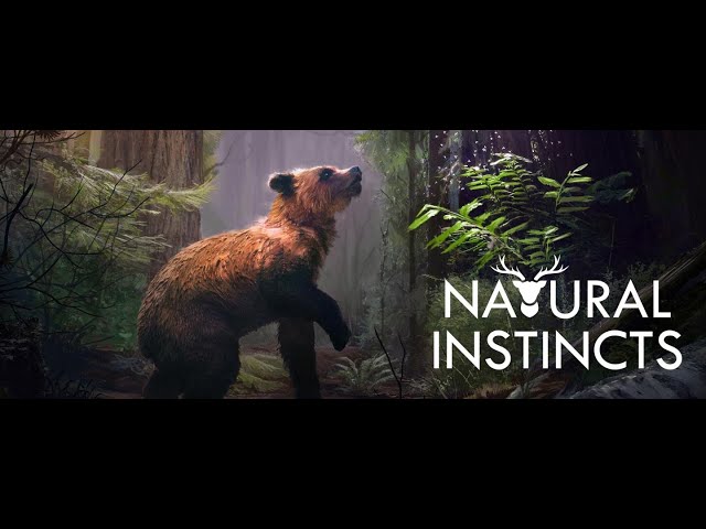 Buy Cheap Natural Instincts: European Forest - Electronic First