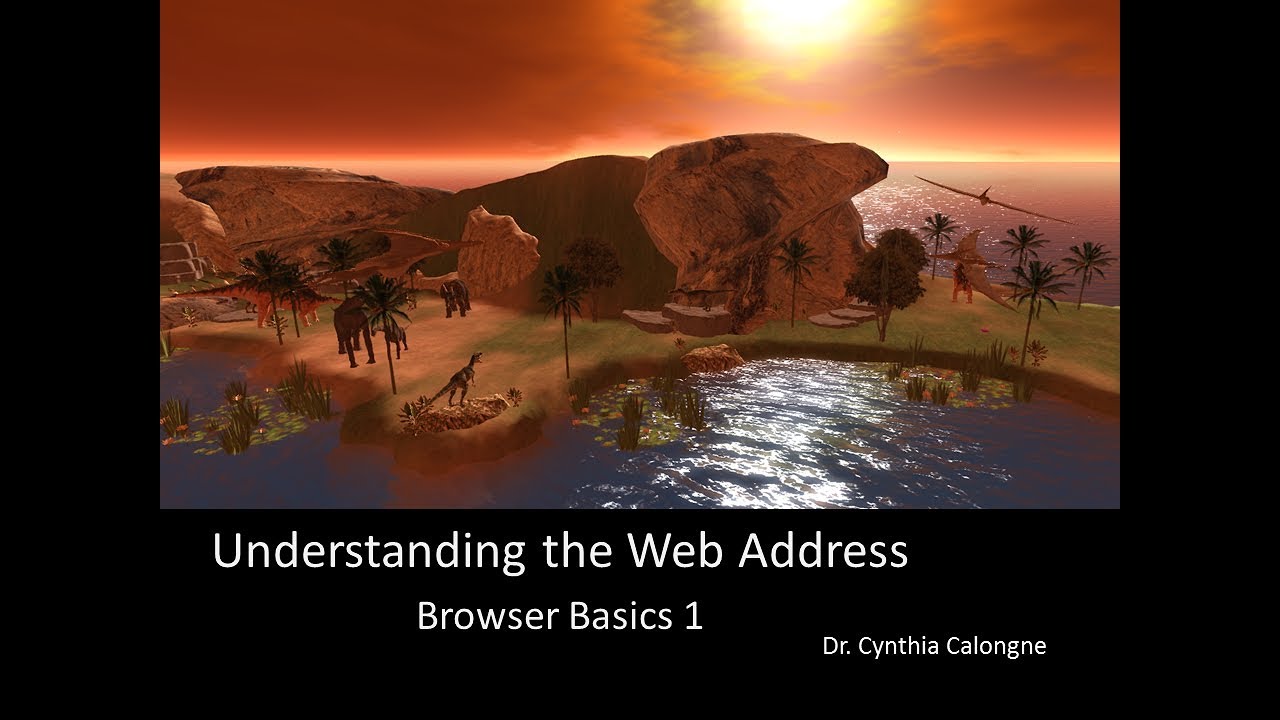 Understanding the Web Address Browser Basics 1