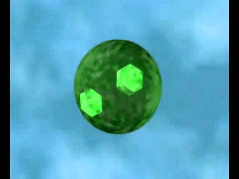 What are enzymes and how do they work?