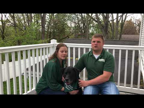 Meet - Mike at All Seasons Pest Control