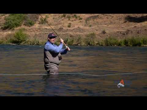 Which Beulah Platinum G2 Trout Spey Rod is right for me?