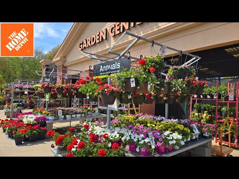 NEW ARRIVALS Home Depot Garden Center Mid May 2025 Inventory. Perennials, Shrubs & Annuals