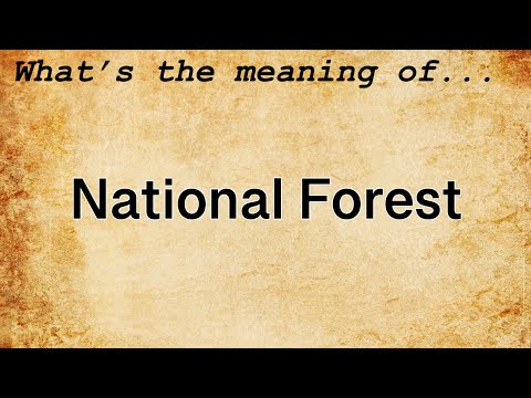 National Forest Meaning : Definition of National Forest
