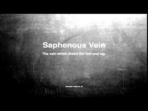 Medical vocabulary: What does Saphenous Vein mean