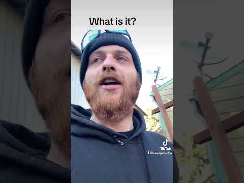 What is a #garden trellis used for?!