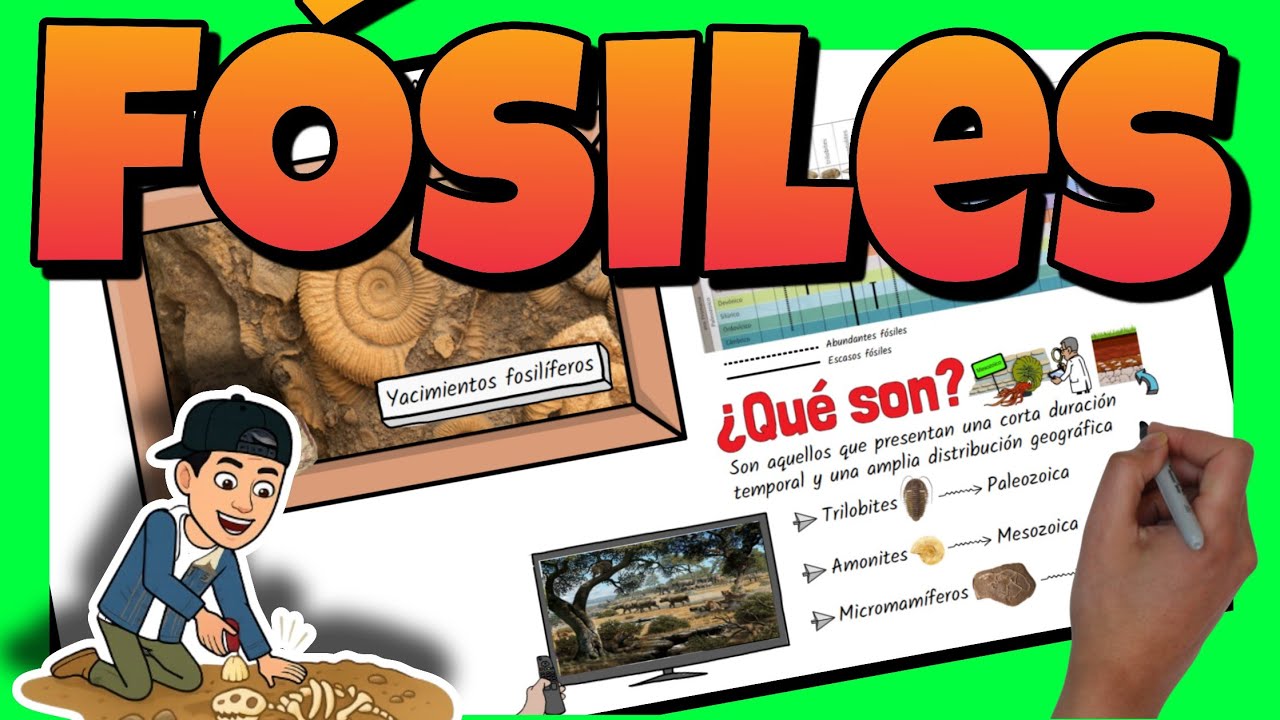 🦕 FOSSILS | Biology and Geology