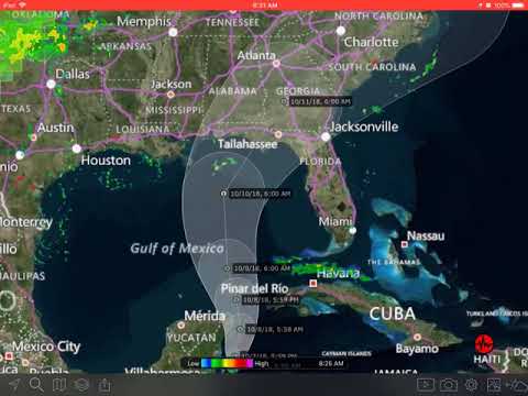 TD 14 is expected to strengthen and become a hurricane before landfall. Michael.