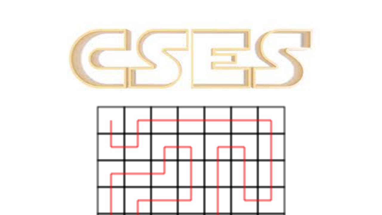 CSES Grid Paths
