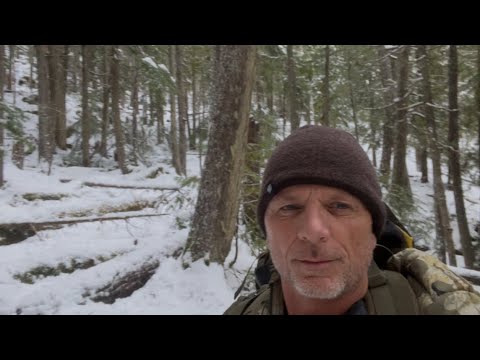 In His Email Was "How To Kill A Sasquatch" Instructions