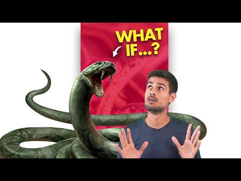 What if a Snake Bites you?
