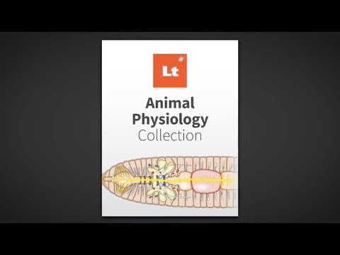 Lt - Online Learning Platform | Animal Physiology Collection