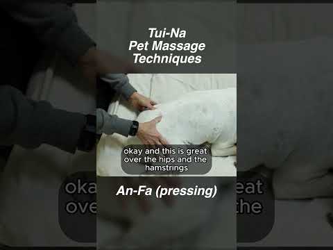 DIY An-Fa #DogMassage for Pain Relief by Marc Smith, DVM, MS