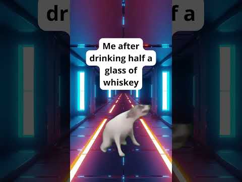 Party time - Half a Glass and I'm Already π΅πΉ #memes #funny