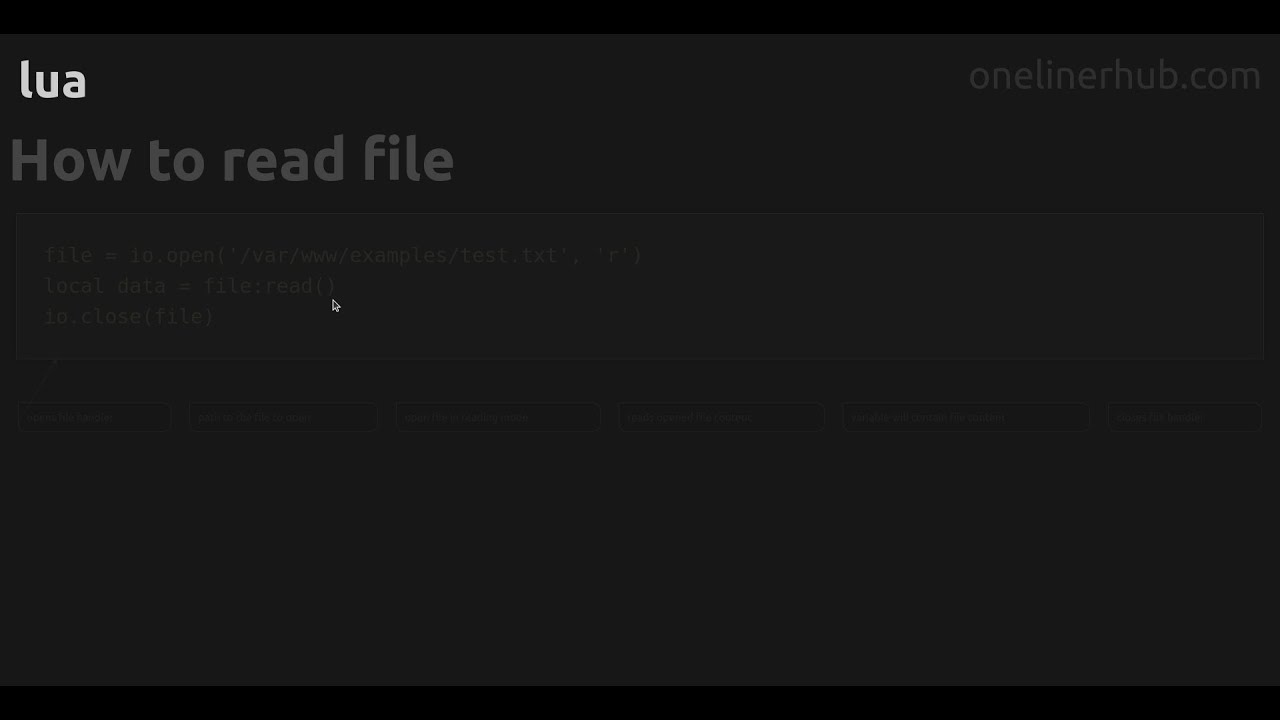 How to read file #lua