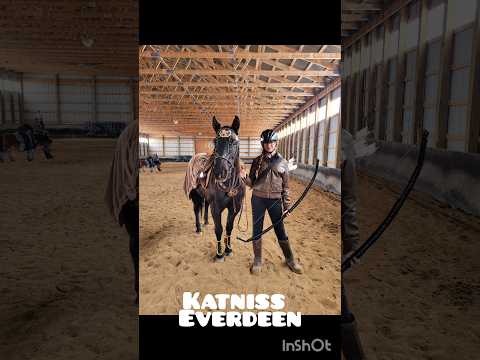 Horse Costumes!!