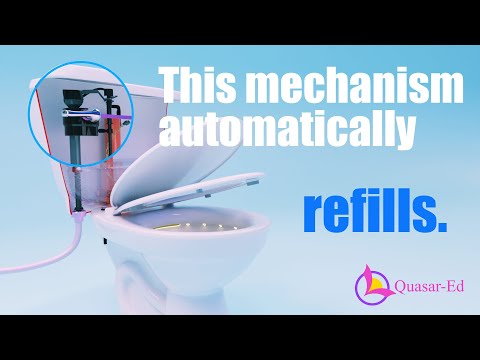 Toilets: How They Flush and What Happens Inside!