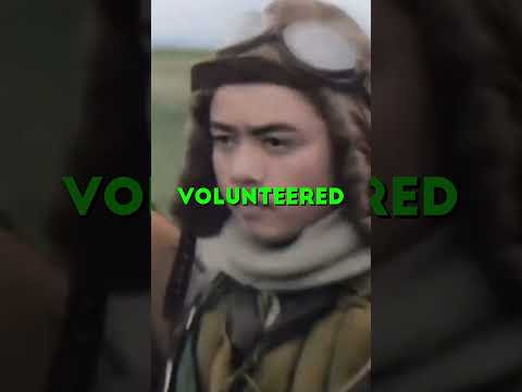 Kamikaze The Divine Winds Of Bravery
