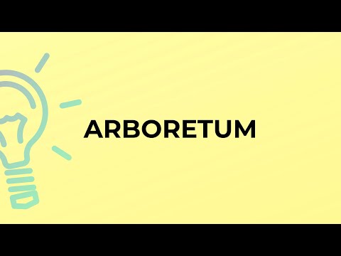 What is the meaning of the word ARBORETUM?