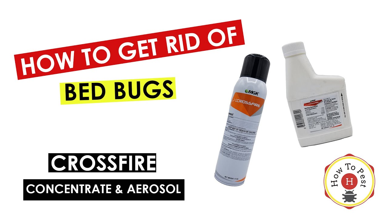 How to Get Rid of Bed Bugs FAST | Crossfire Concentrate & Aerosol Tutorial (DIY Pest Control)