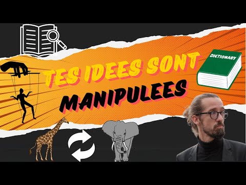 LE SENS DES MOTS - comprendre, critiquer, éviter la manipulation