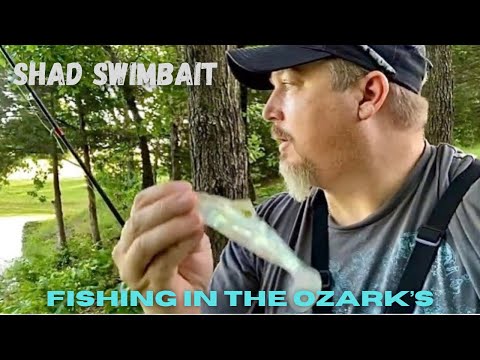 Fishing with the Mirror Image Pro Shad 6” Swim Bait Kit