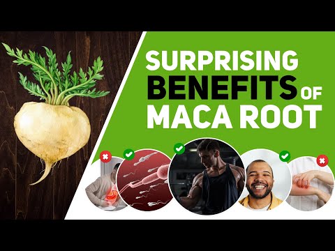 4 Surprising Benefits Of Maca Root | Dr. Eats
