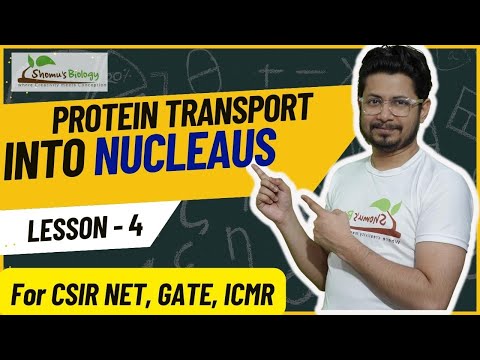 Nuclear transport of proteins | Ran gtpase cycle | Nuclear pore complex in nuclear protein transport