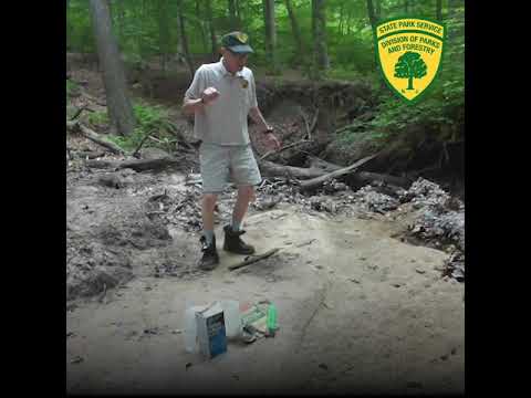 Notes From Our Naturalists- Identifying Animal Tracks