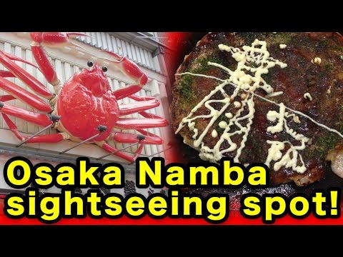 Famous food shop & sightseeing spot of osaka namba