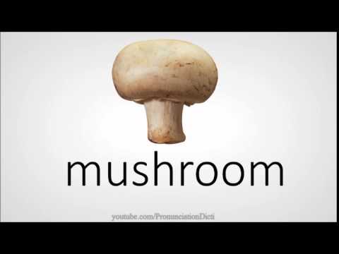 How to pronounce mushroom