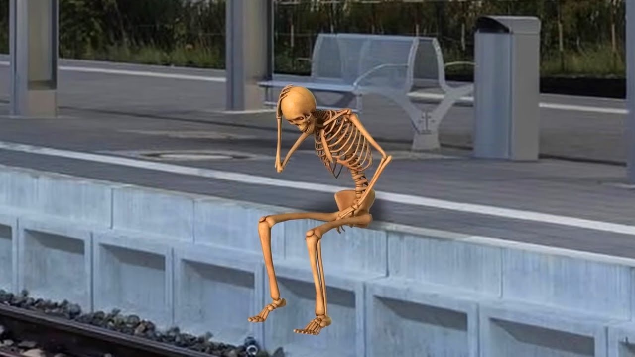 Die 9 Euro Ticket Zeit war wild