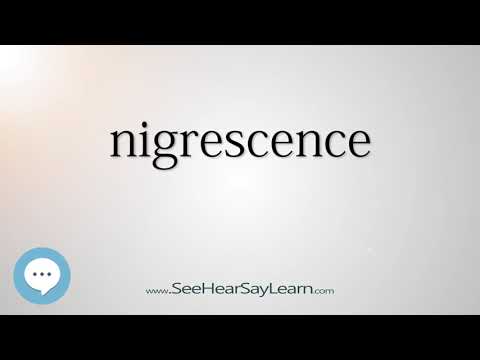 nigrescence - Smart & Obscure English Words Defined 👁️🔊🗣🧠✅