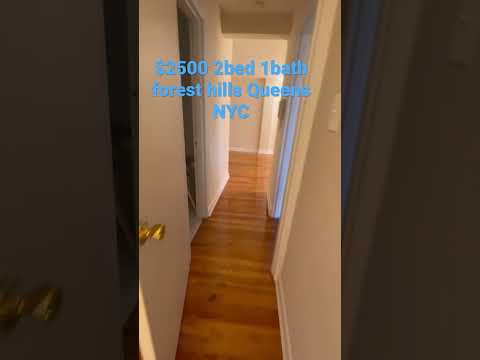 2bed 1bath forest hills NYC queens