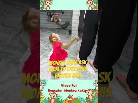 Monkey kaka ask mom to check his sore arm #babyanimal #monkeykaka #babymonkey