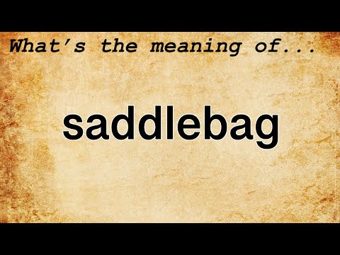 Saddlebag Meaning : Definition of Saddlebag