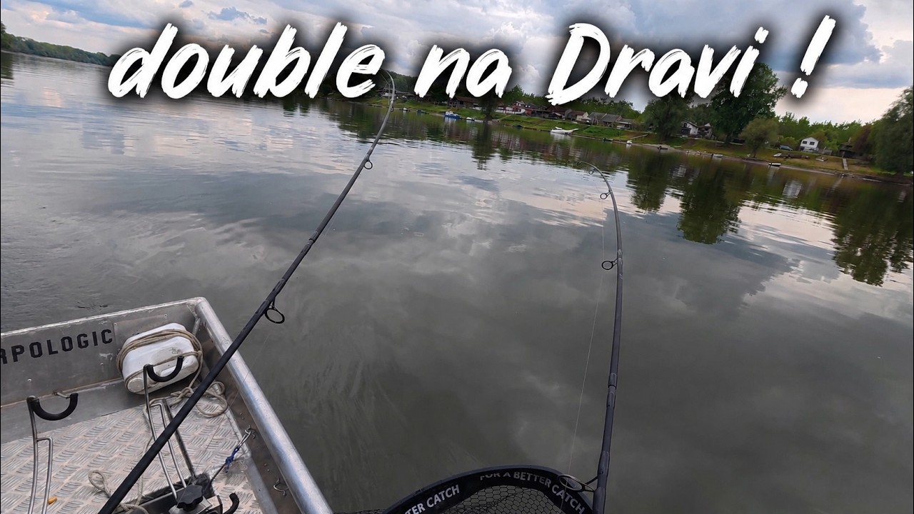 DOUBLE RUN na Dravi!! – Veliki šarani u podmetaču!!