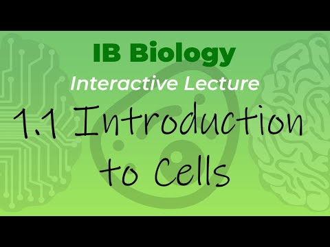 [OLD2016] IB Biology 1.1 - Introduction to Cells - Interactive Lecture