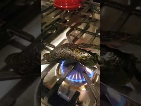 Roasting a Poblano Pepper